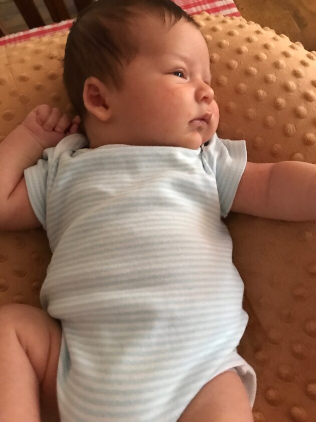 Dominic Joel | News, Sports, Jobs - Daily Press